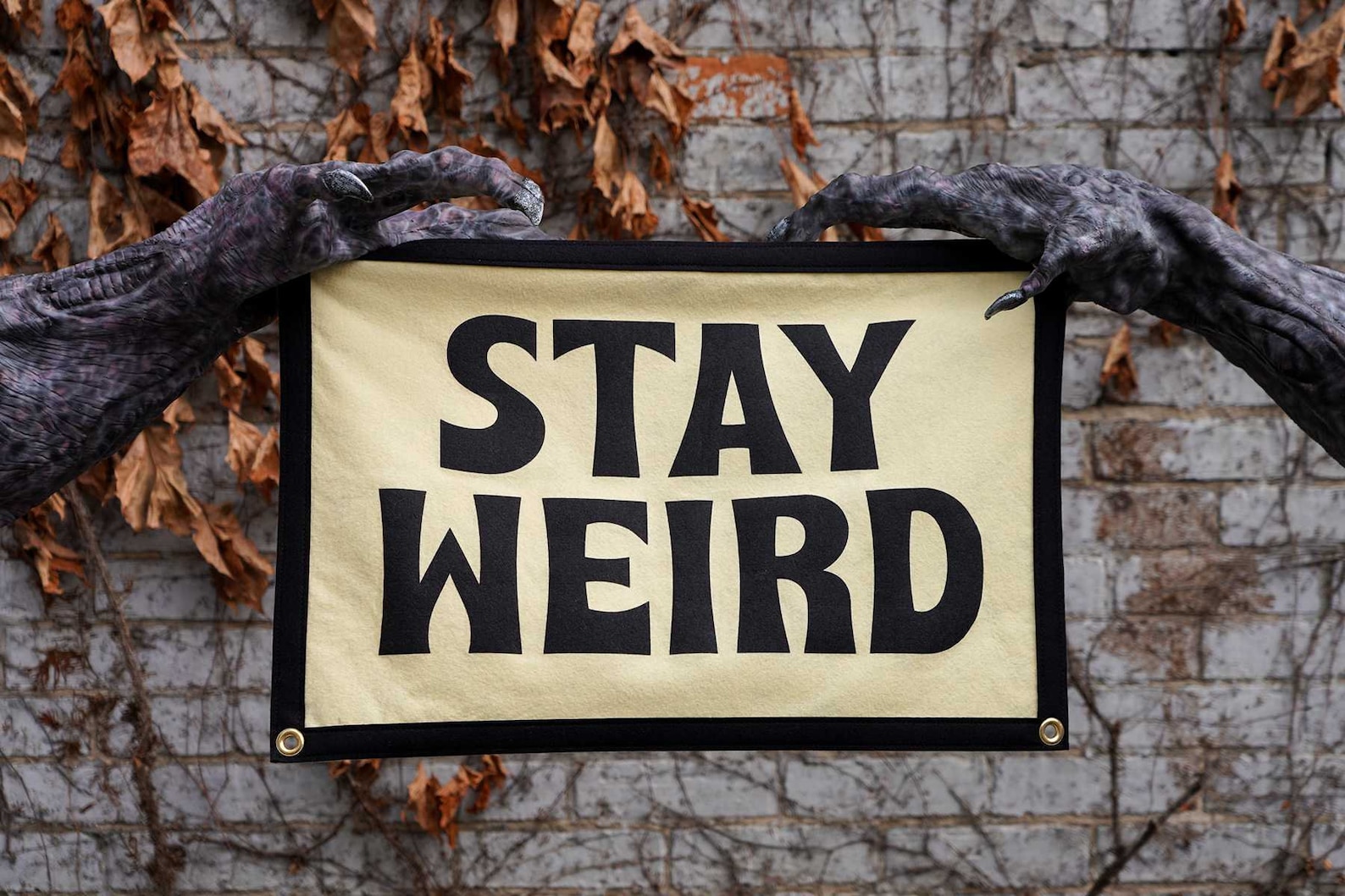 Stay Weird Camp Flag - Etsy