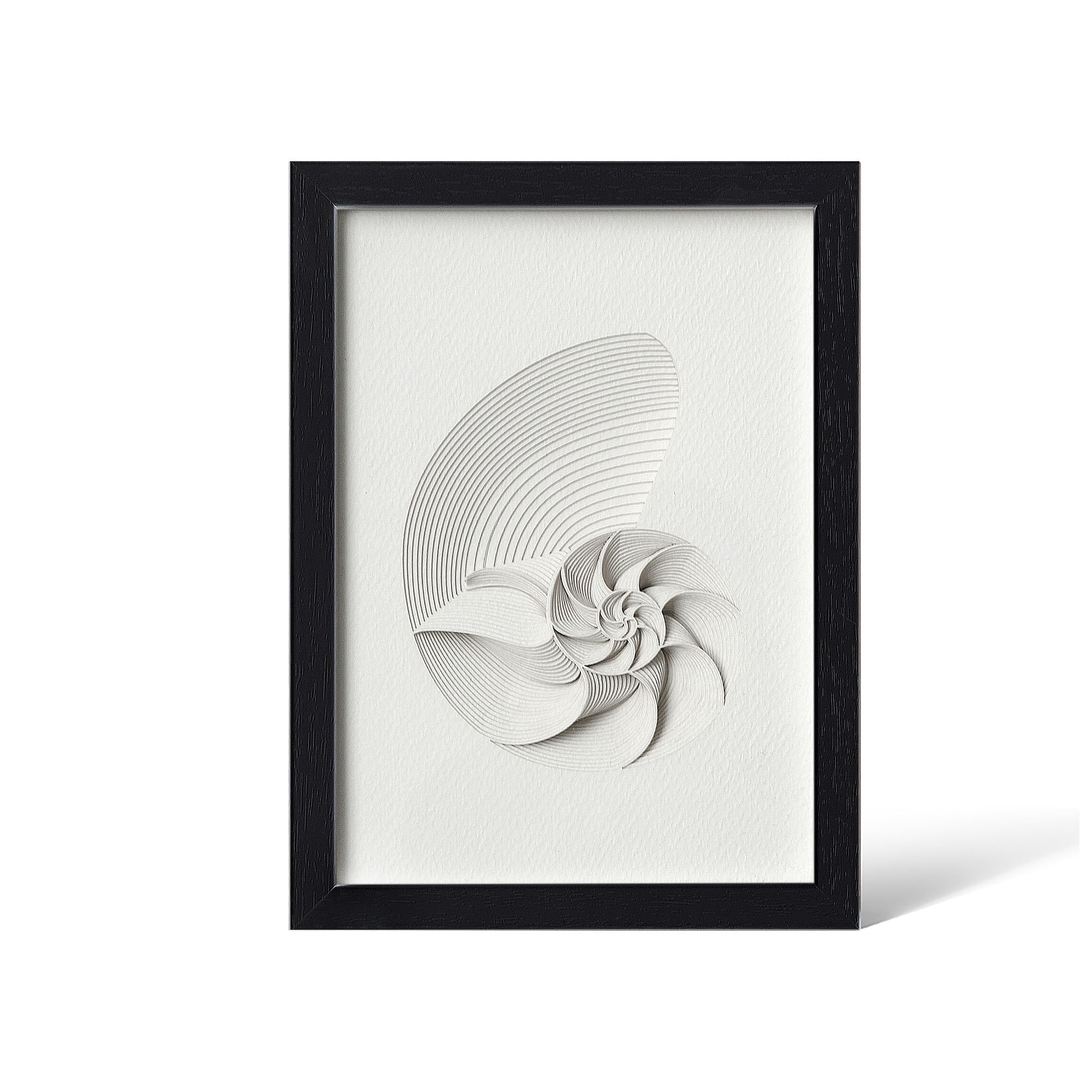 Nautilus, Paper Art IDEAL GIFTS A5 Frame - Etsy