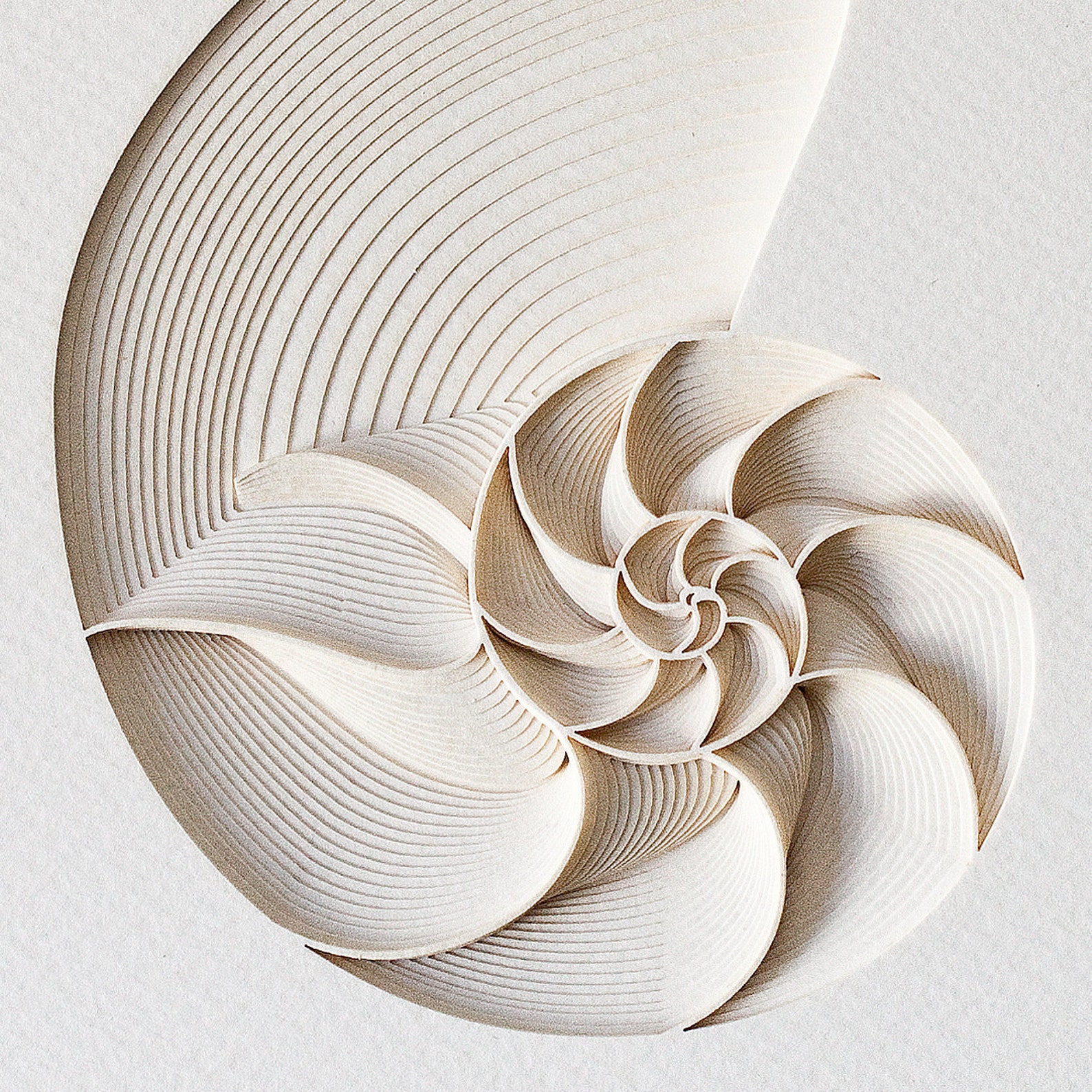 Nautilus, Paper Art IDEAL GIFTS A5 Frame - Etsy