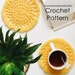 CROCHET PATTERN - the Sunshine Coasters, Instant Download PDF ...