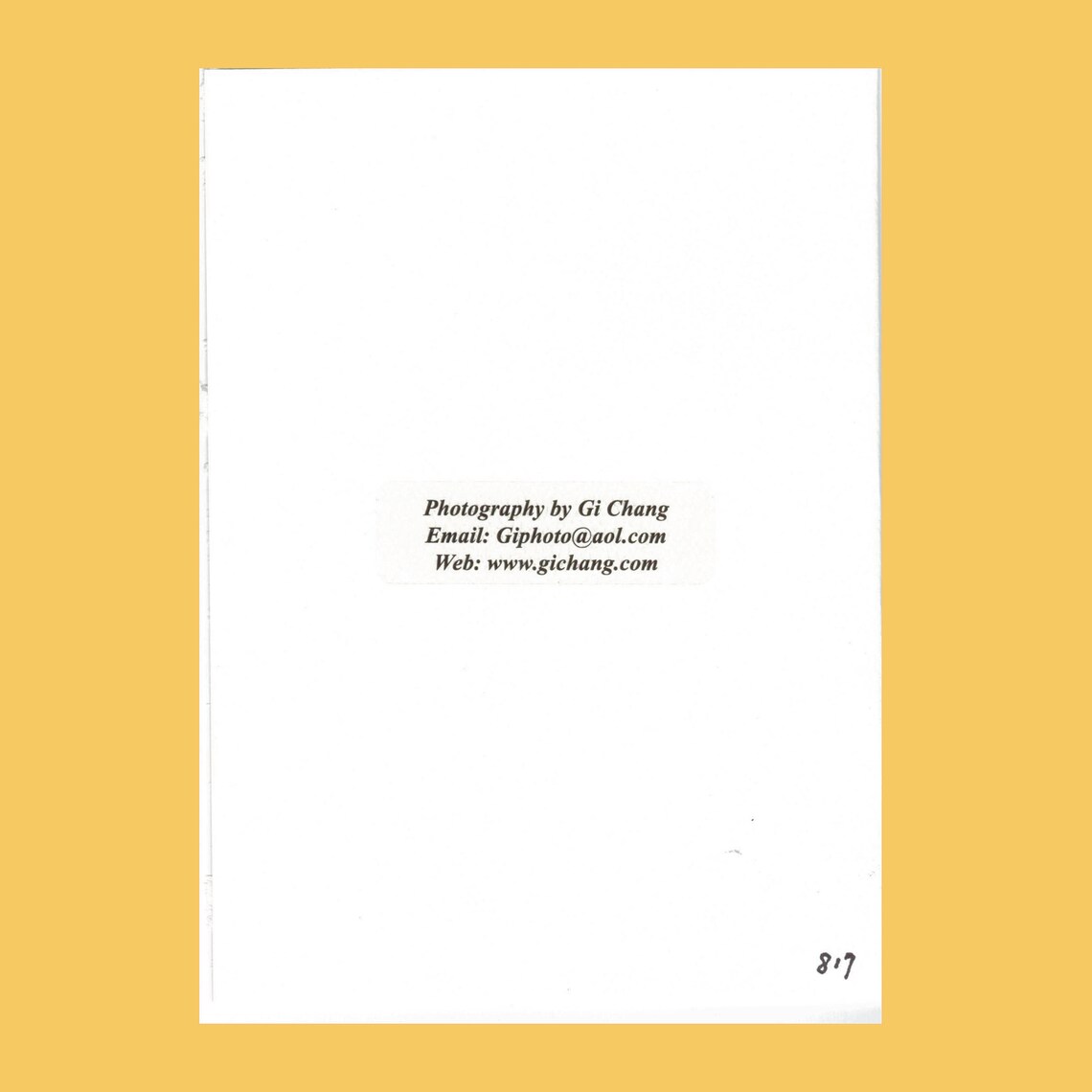 Sympathy Card in Chinese Calligraphy - Etsy