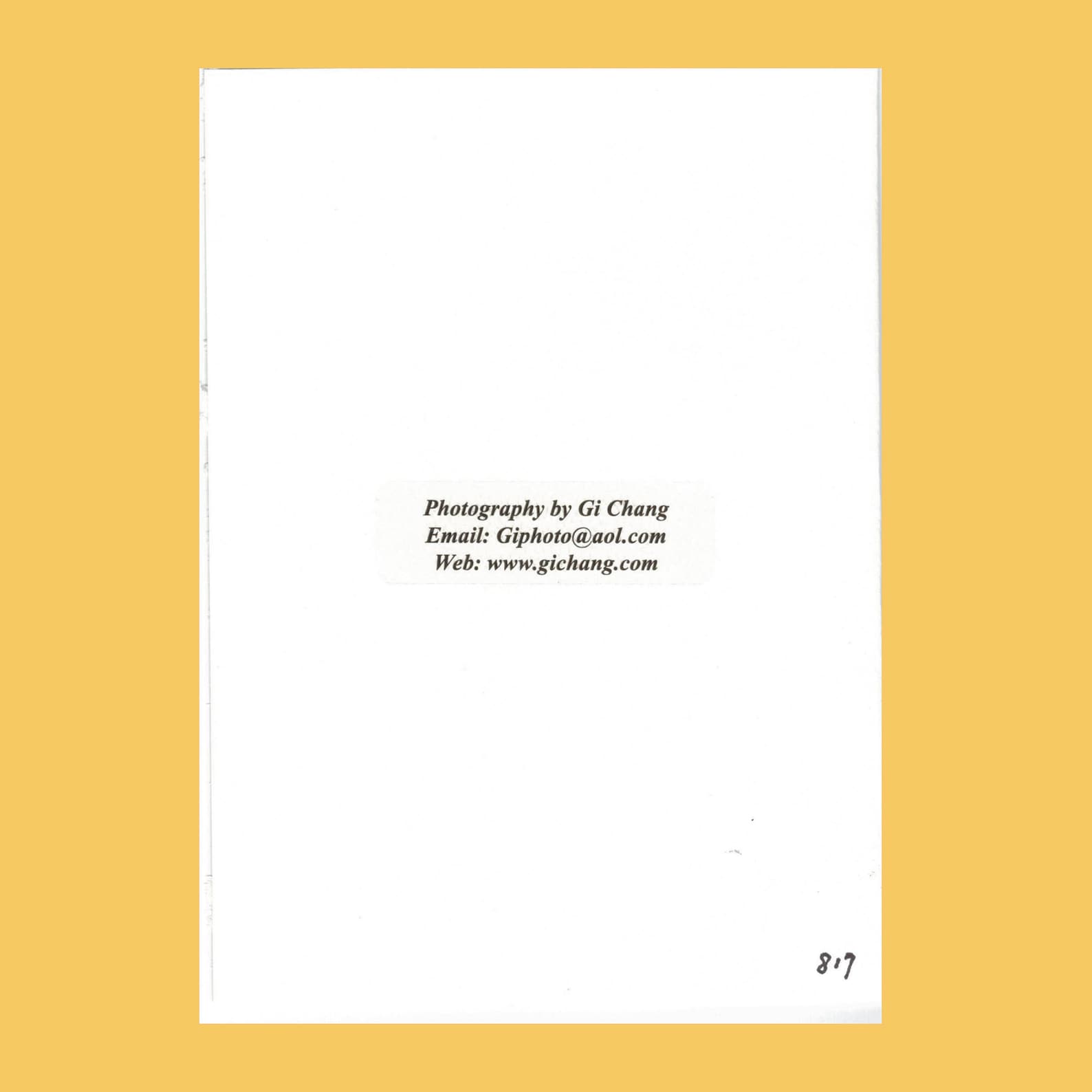 Sympathy Card in Chinese Calligraphy - Etsy