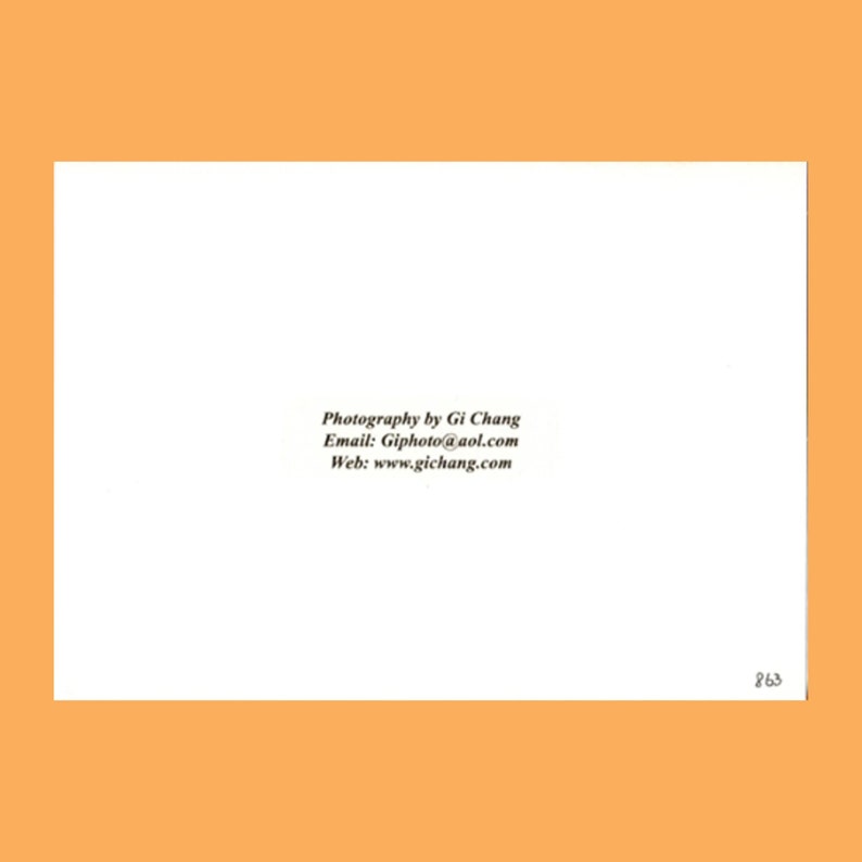 Condolences Card in Chinese Calligraphy - Etsy