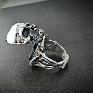 Pillbox Ring Locket Ring Skull and Snake Poison Ring Biker Ring Free ...