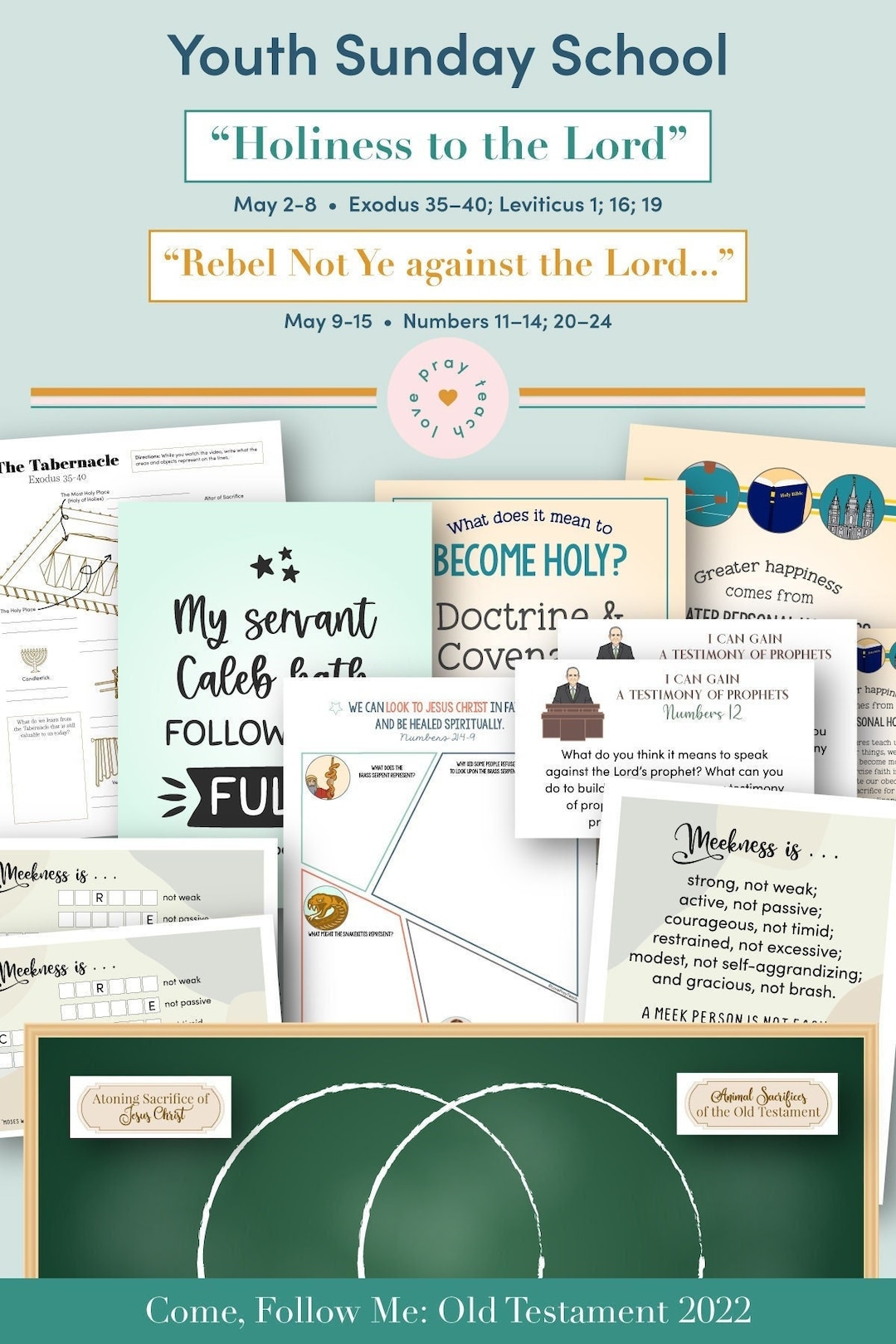 Youth Sunday School Come, Follow Me 2022 Printable Lesson Pack May 2–8 ...