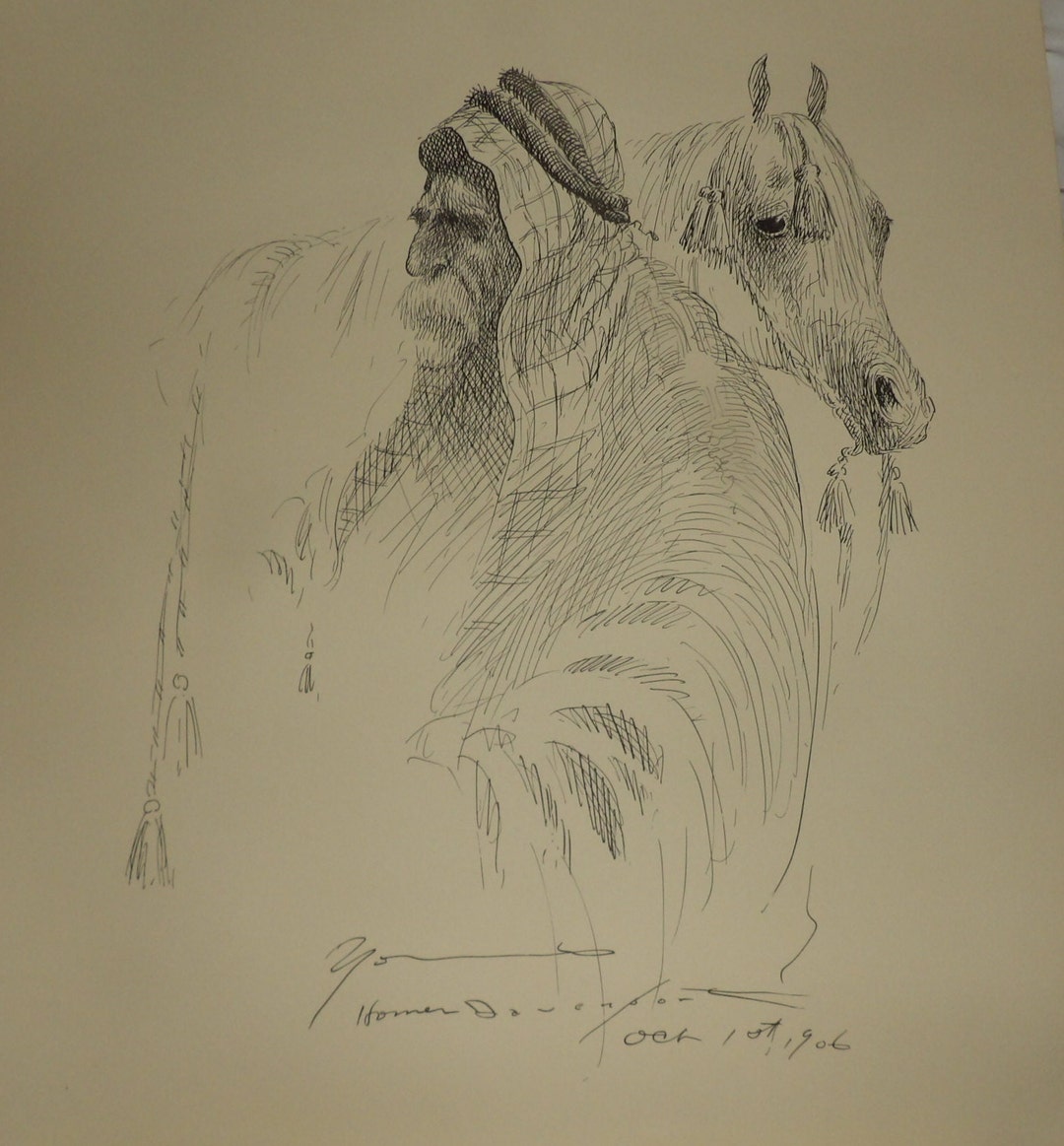 Homer Davenport Arabian Horse Sheikh Achmet Haffez 1909 Political ...