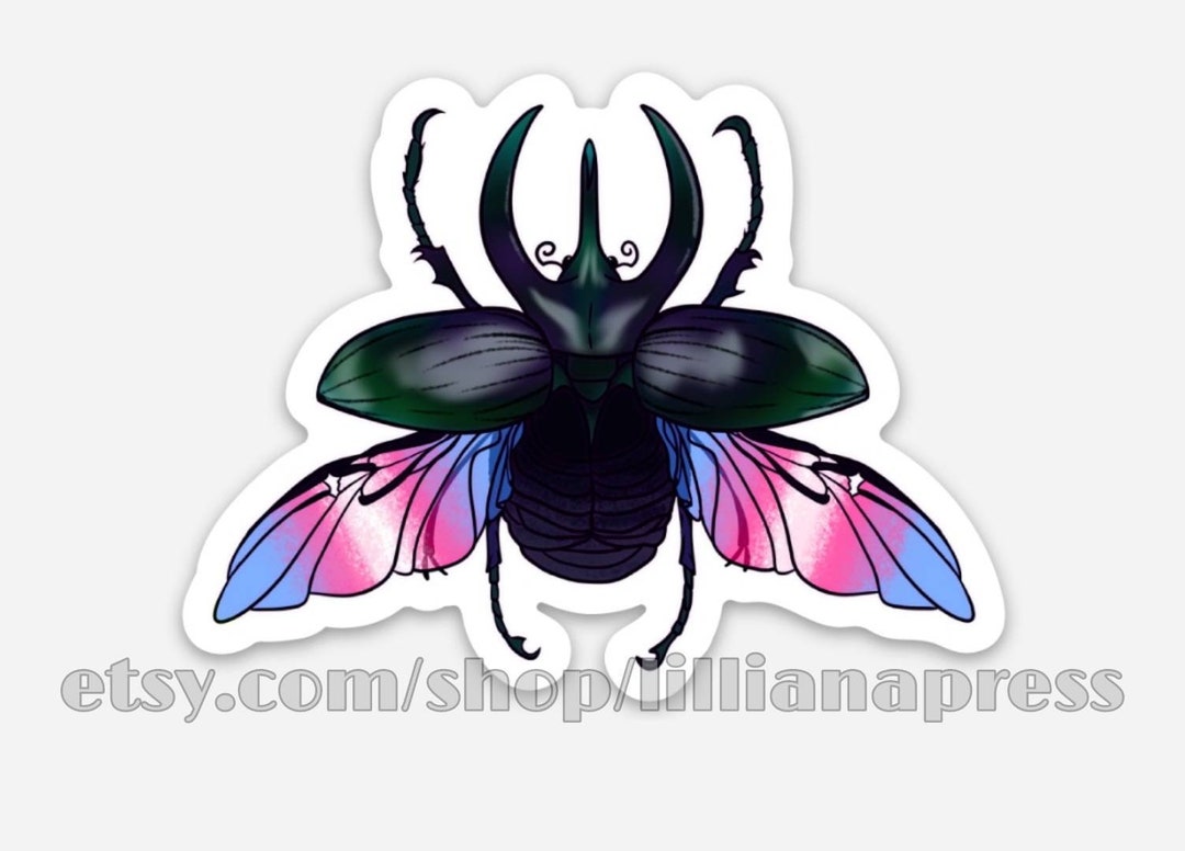 STICKER: Trans Flag Atlas Beetle, Trans Pride - Etsy