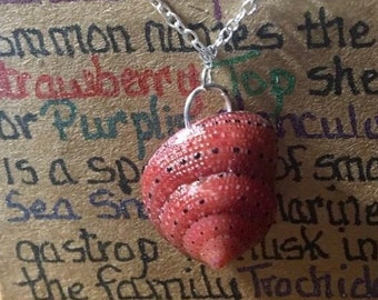 Strawberry Top Shell - Etsy