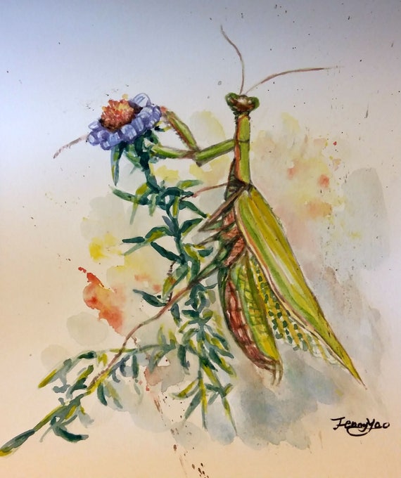 Original watercolor painting Print mantis on blue flower | Etsy