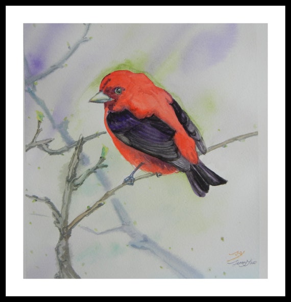 Original Watercolor painting Red Bird Painting size 8x10in | Etsy