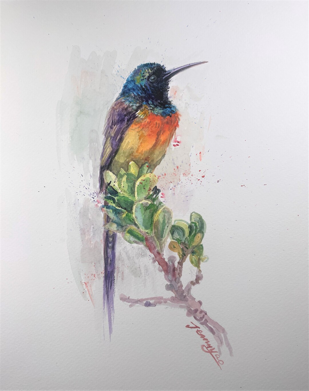 Printing of Original Watercolor Painting, Orange Breasted Sunbird,3 ...
