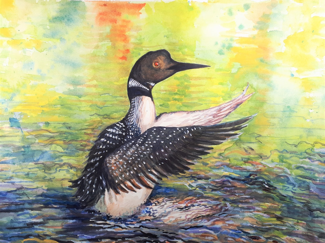 Original Watercolor Painting, Canadian Loon, 11x15