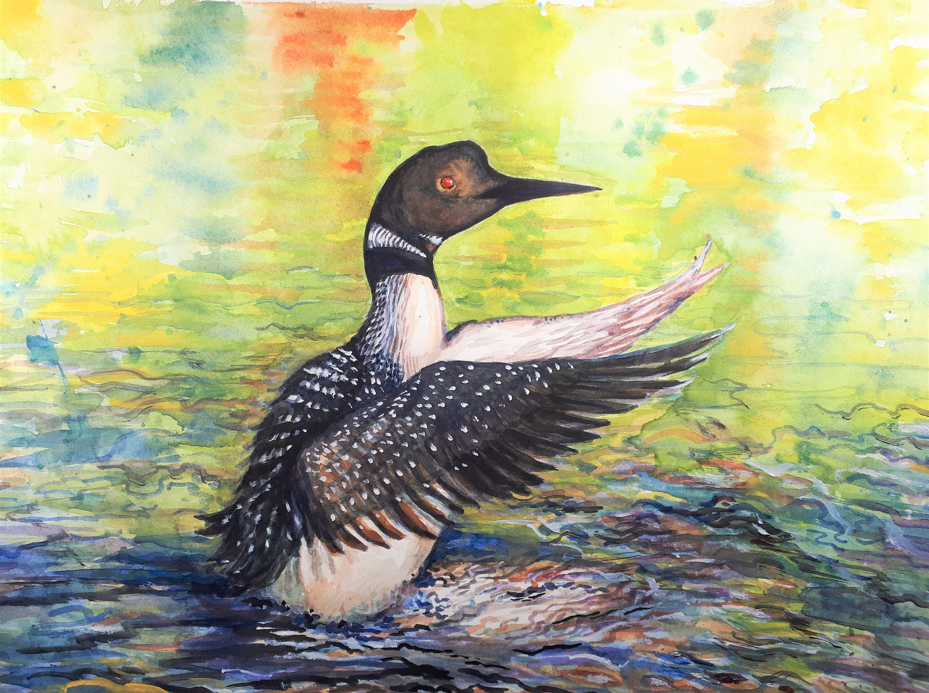 Original Watercolor Painting Canadian Loon 11x15 | Etsy