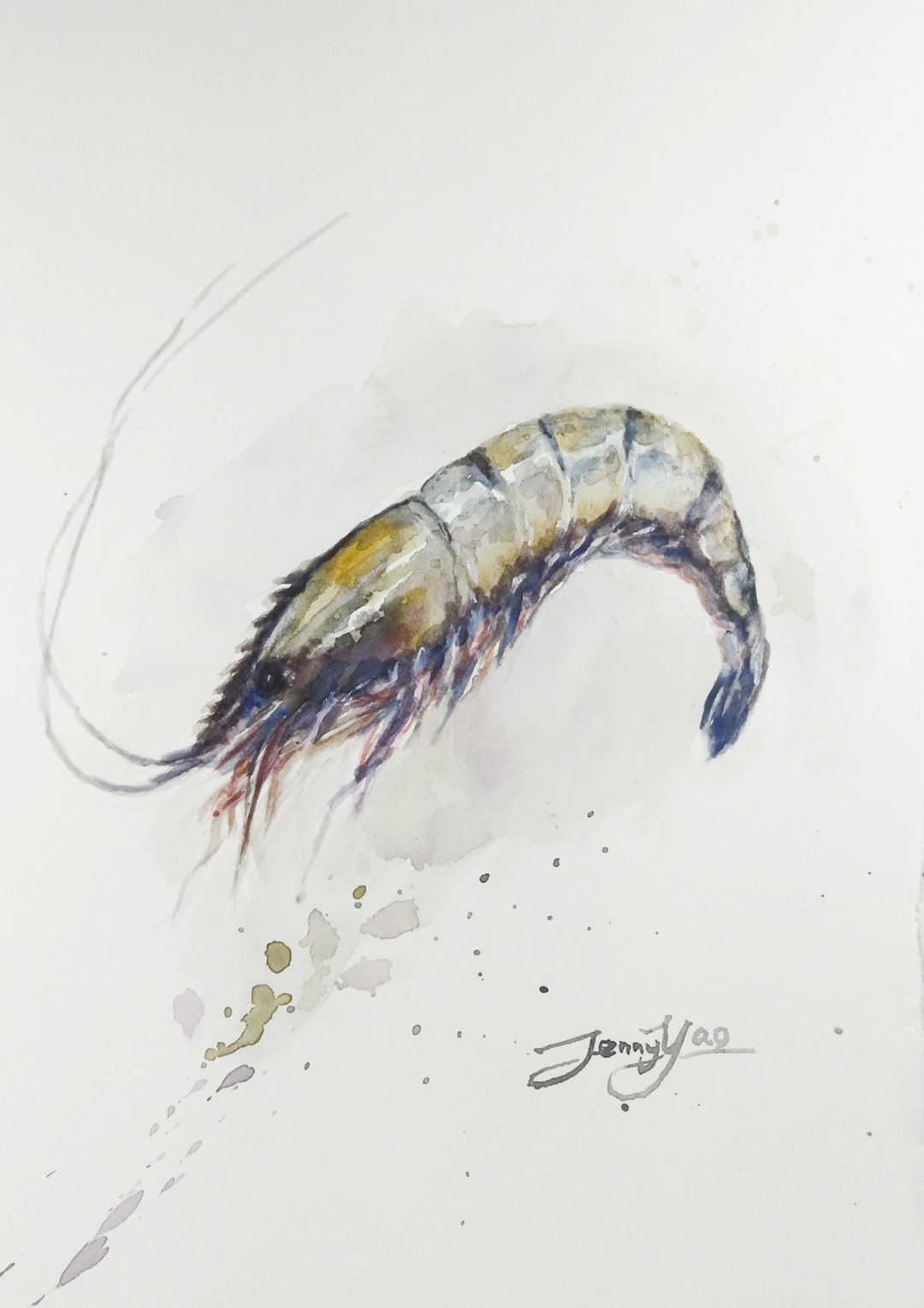 Original Water Color Painting, Shrimp, 8x10, 2006237 - Etsy