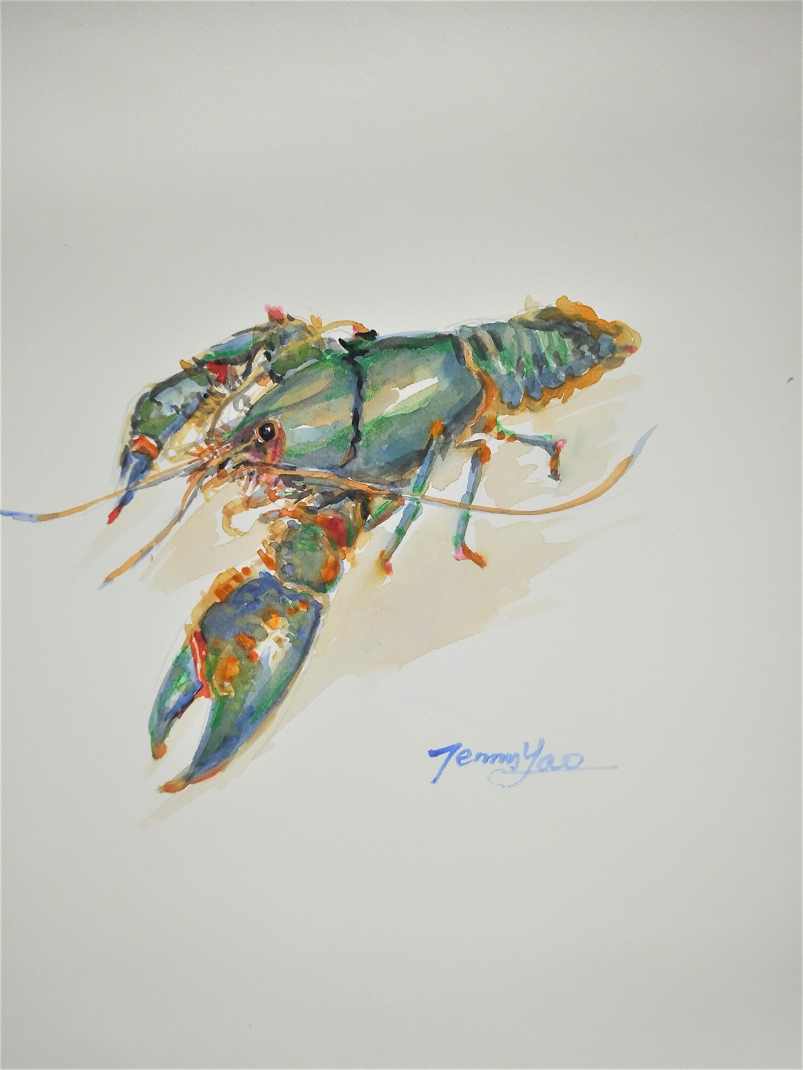 Printing of Original Watercolor Painting Shrimp 210401 | Etsy