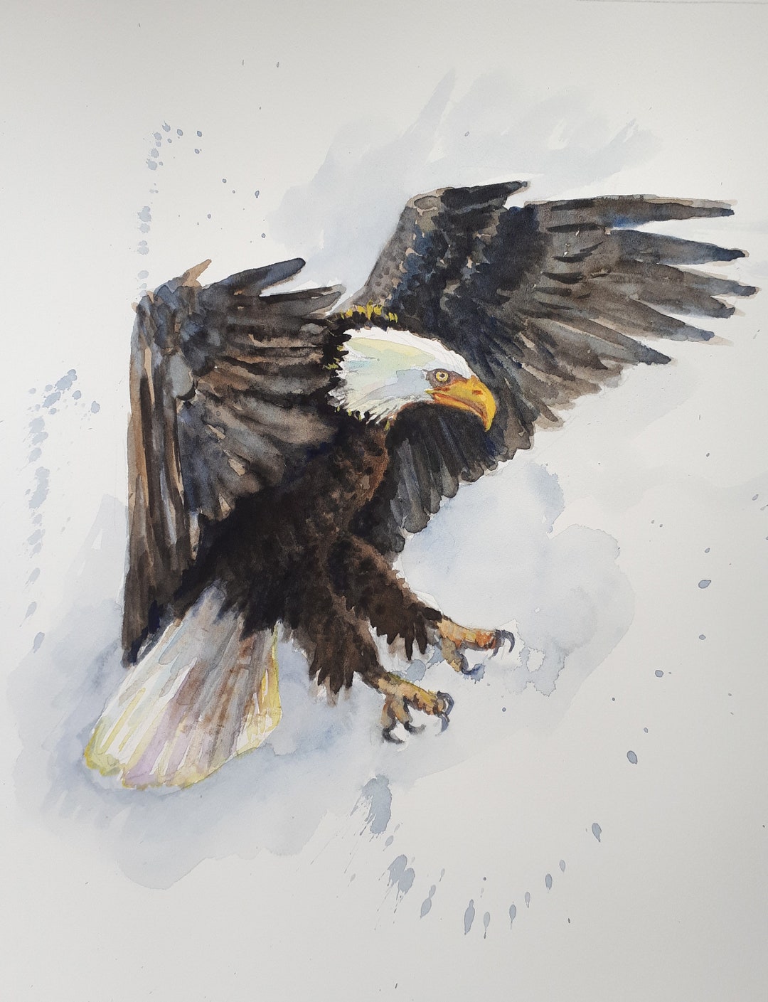 Printing of Sold Original Water Color Painting, Eagle II, 3 Sizes ...