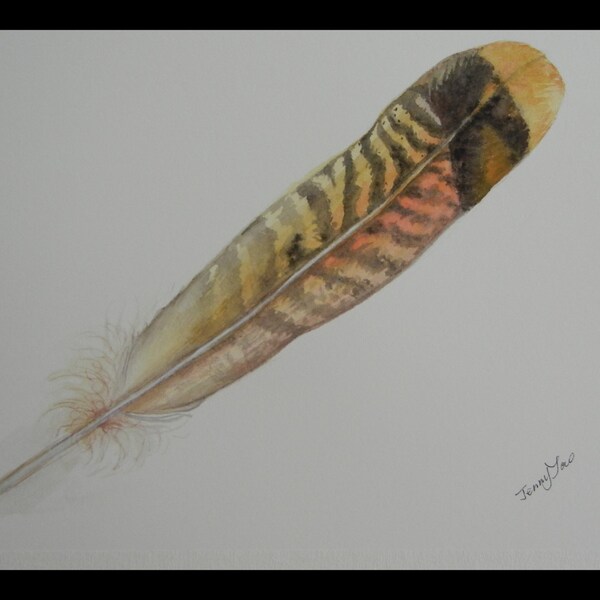 Feather Watercolor - Etsy