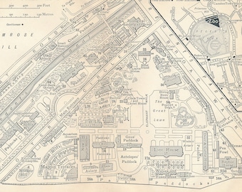 1910 London Zoo, London England, United Kingdom Antique Map - Etsy
