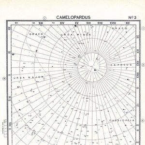 1931 Constellation Chart Camelopardalis Antique Astronomy Print - Etsy