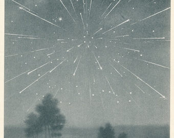 PRINTABLE Celeste Meteor Shower animal Crossing 8.5x11 Poster Print - Etsy