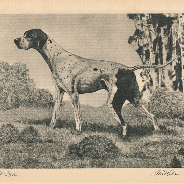English Pointer Art - Etsy