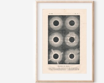 C. 1877 SOLAR ECLIPSE Print • Original Antique Print • Hand Colored ...