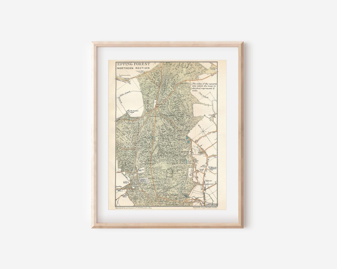 1927 Epping Forest, London, England, United Kingdom Antique Map - Etsy UK