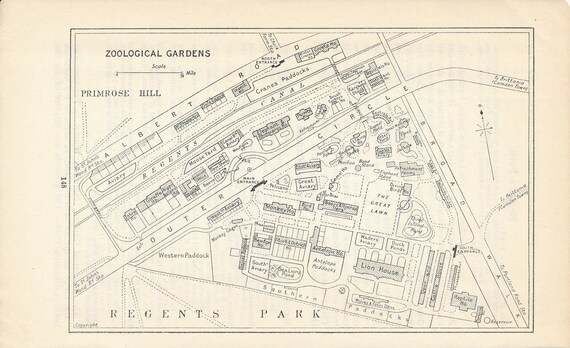 1910 London Zoo London England United Kingdom Antique Map - Etsy