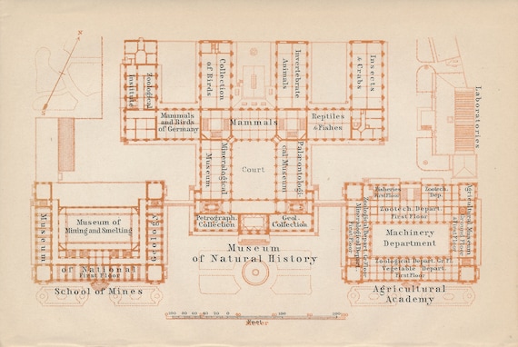 Natural History Museum Map