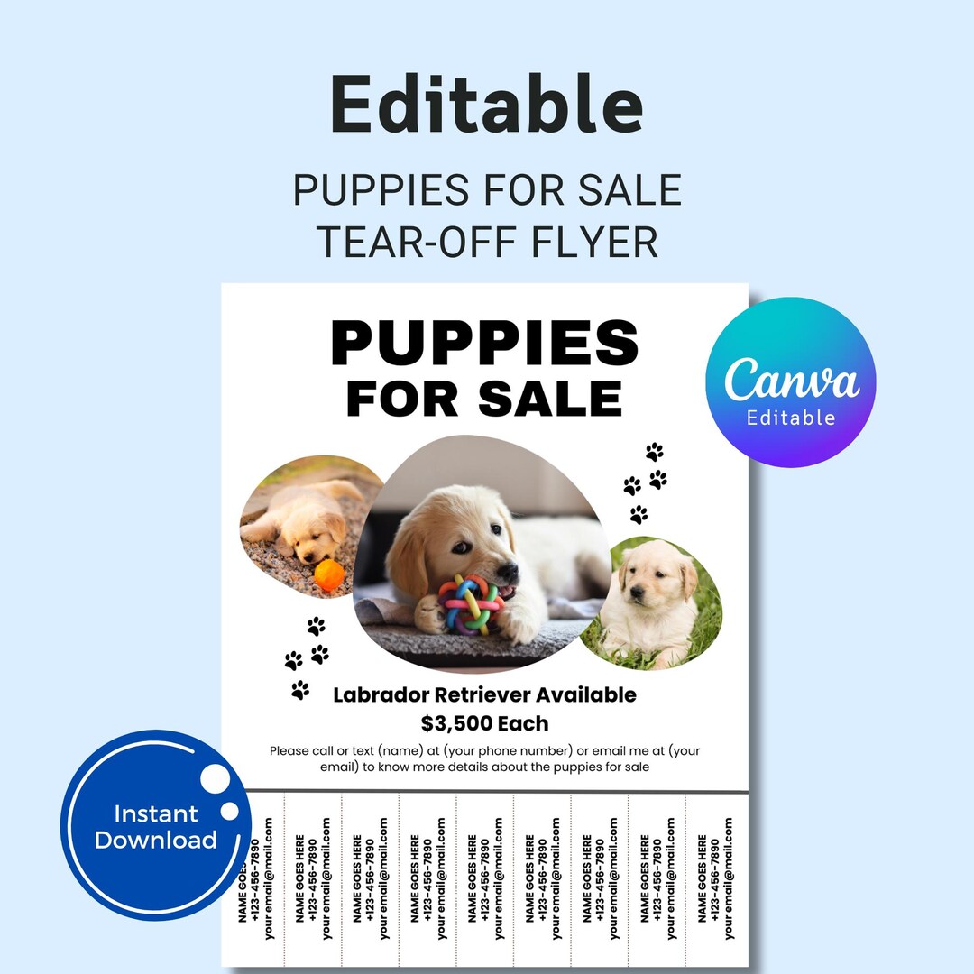 Dog Breeding Business Flyer: Editable Pet Service Marketing Template ...