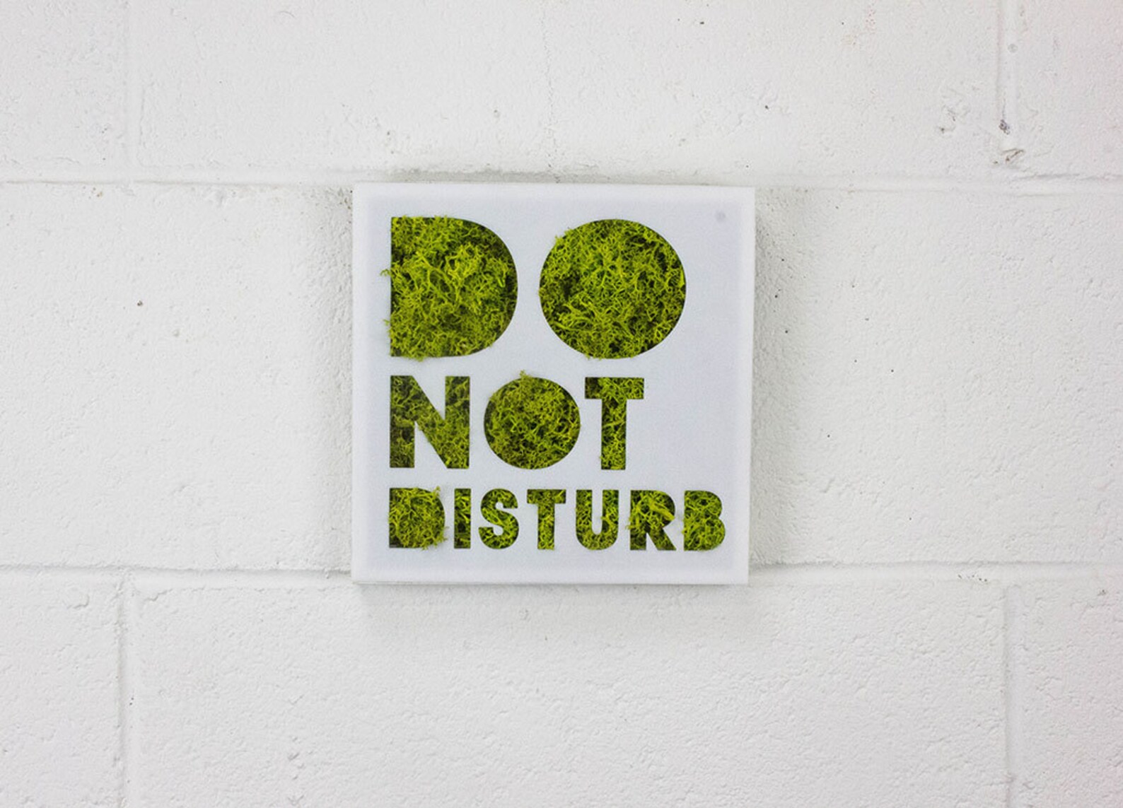 Do Not Disturb Wall Decor Water Free Green Wall Sign - Etsy UK