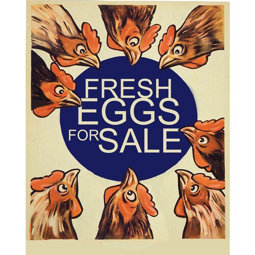 French Chicken Advert Vintage Enamel Metal TIN SIGN Wall - Etsy