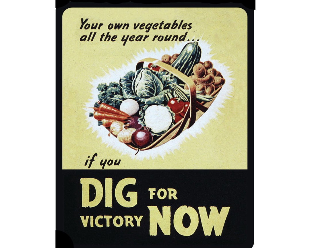 World War Propaganda Dig for Victory Now Your Own Vegetables All Year ...