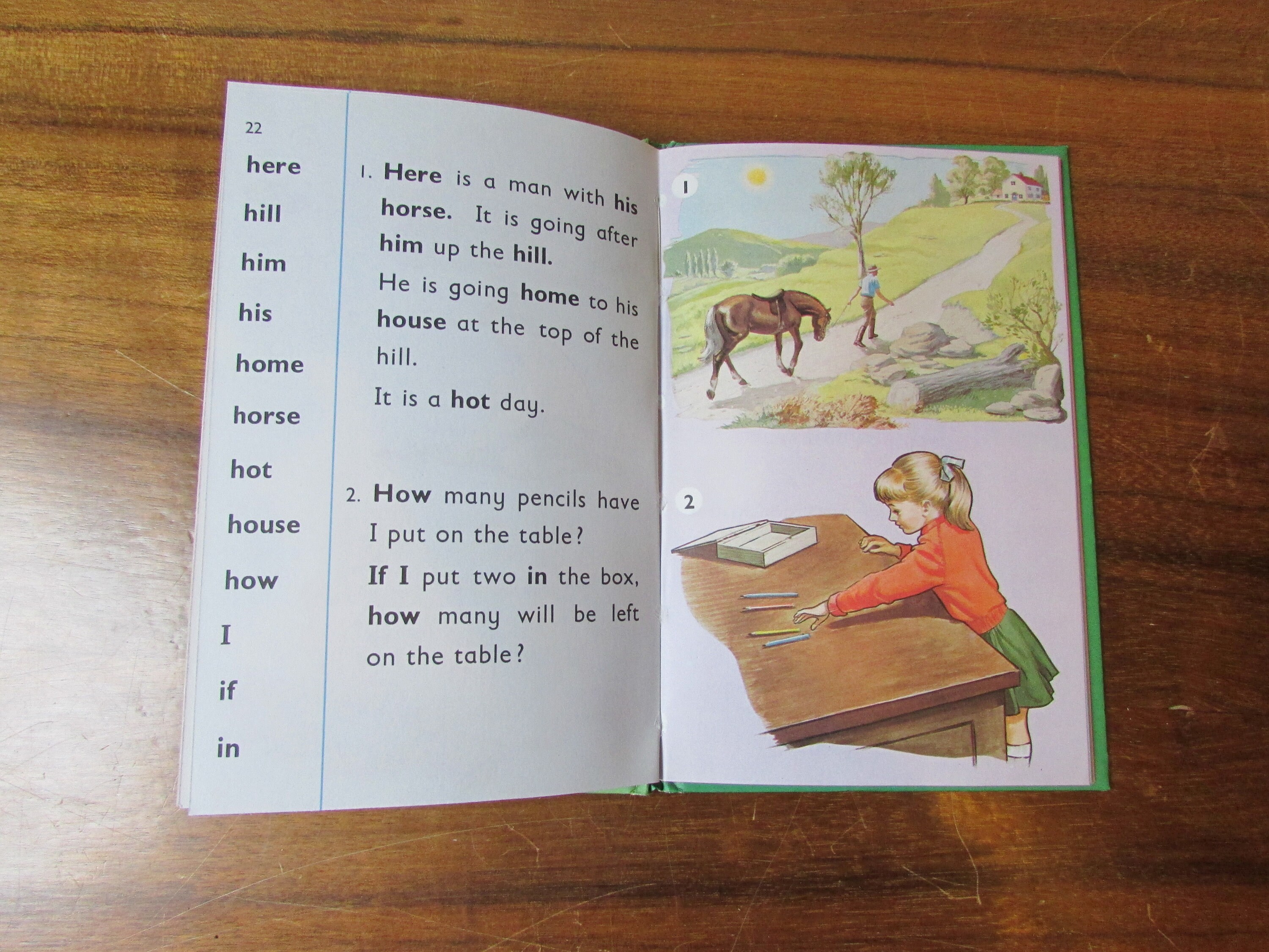 1966 Ladybird Picture Dictionary & Spelling Book - Etsy UK