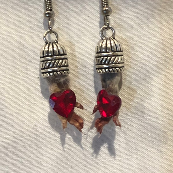 Taxidermy Rat - Etsy