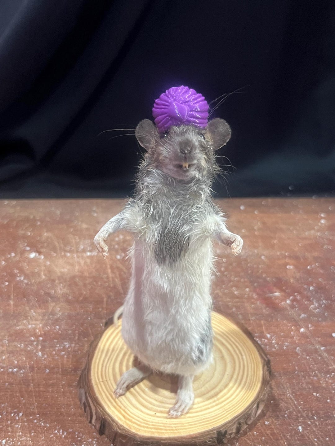 Turban Hat, Fortune Teller Hat for Taxidermy Rat - Etsy