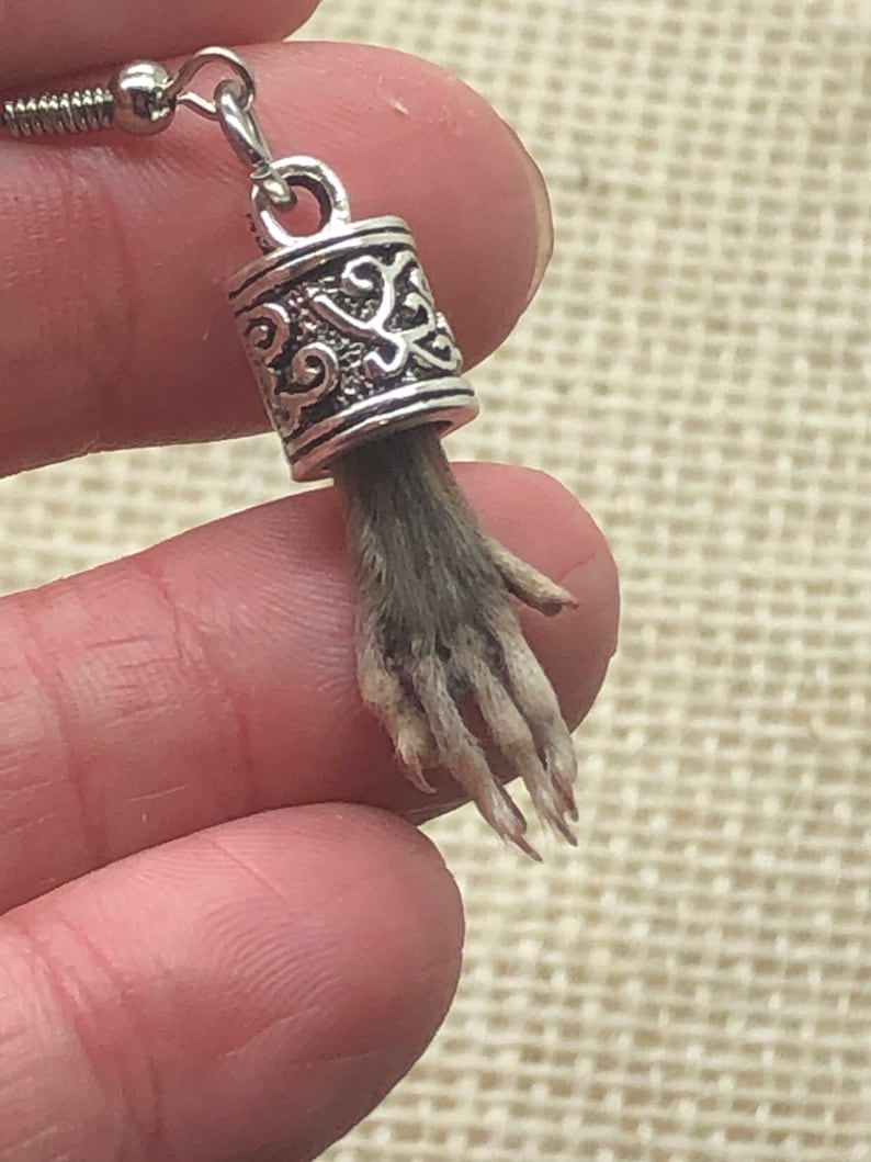 Taxidermy Rat feet Earrings made from real Rats Oddities | Etsy