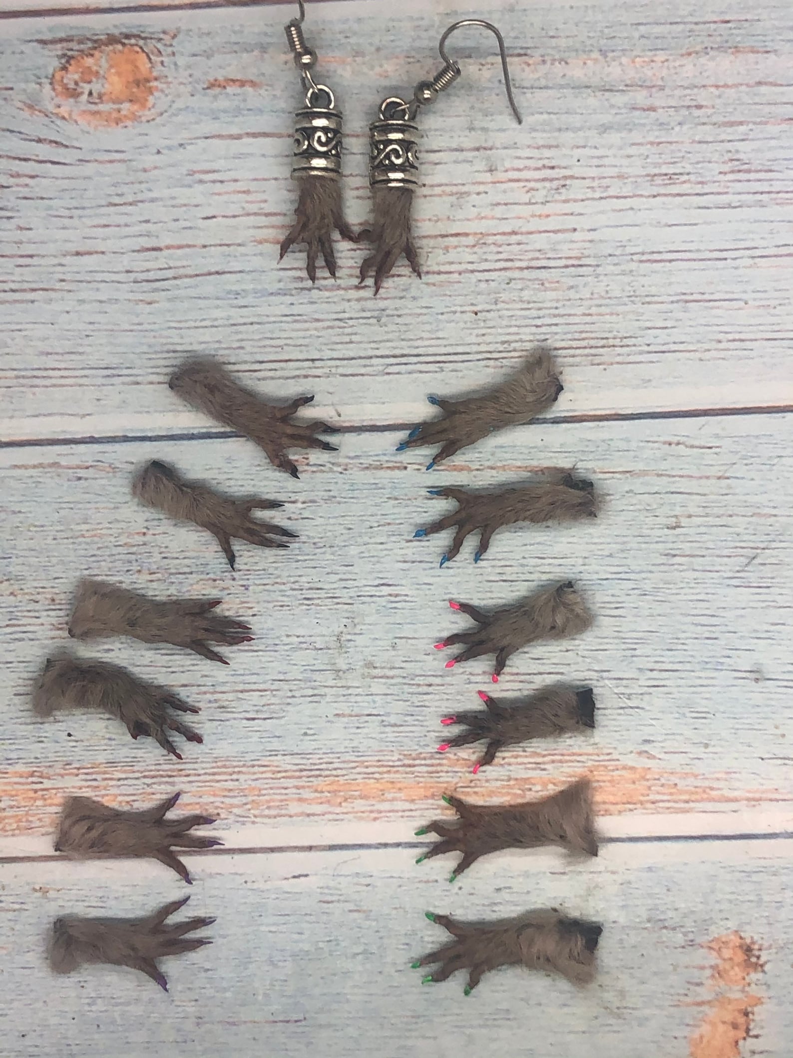 Taxidermy Rat Feet Earrings Made From Real Rats Oddities Front | Etsy
