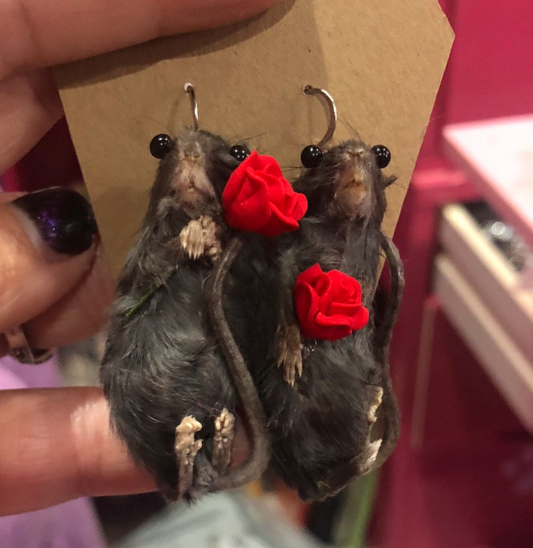 Custom Taxidermy Mouse Earrings Made With Real Mice - Etsy
