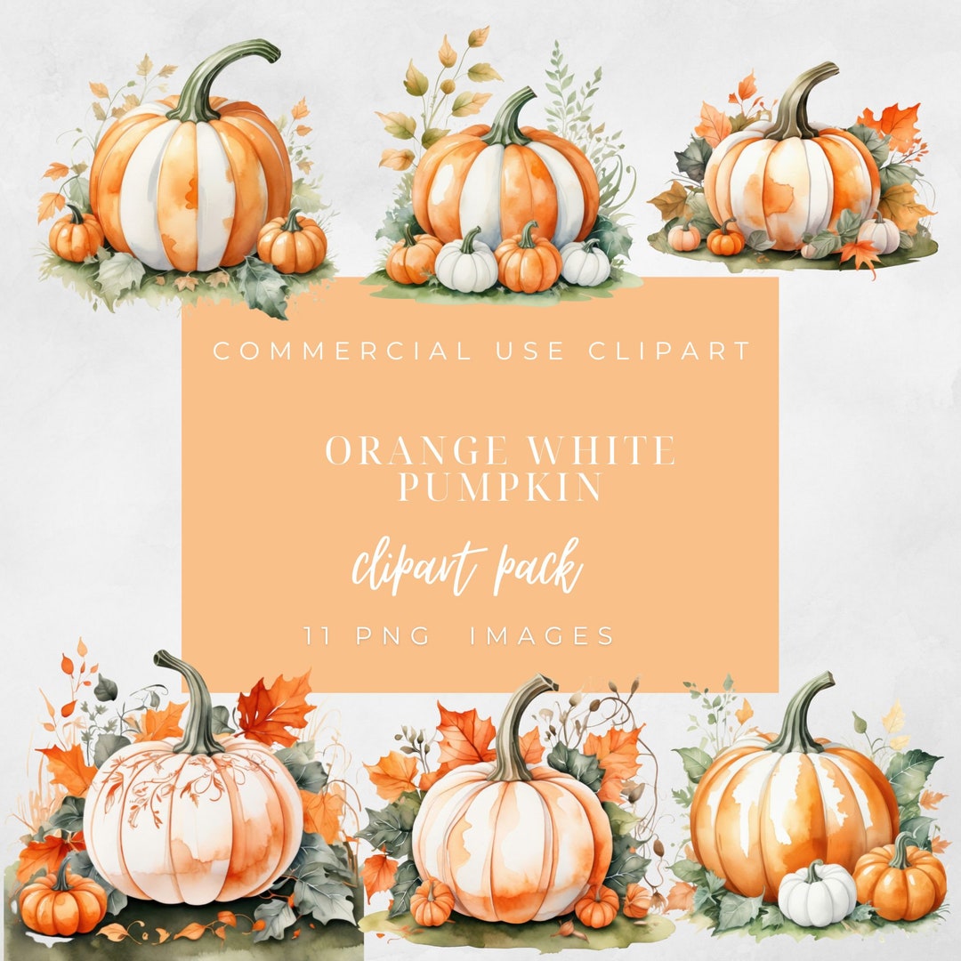 Orange White Watercolor Pumpkin Clip Art, Transparent PNG, Commercial ...