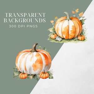 Orange White Watercolor Pumpkin Clip Art, Transparent PNG, Commercial ...
