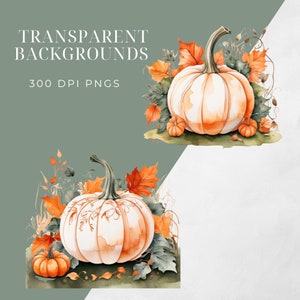 Orange White Watercolor Pumpkin Clip Art, Transparent PNG, Commercial ...