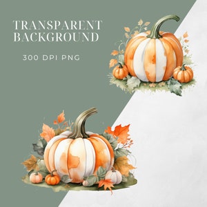 Orange White Watercolor Pumpkin Clip Art, Transparent PNG, Commercial ...