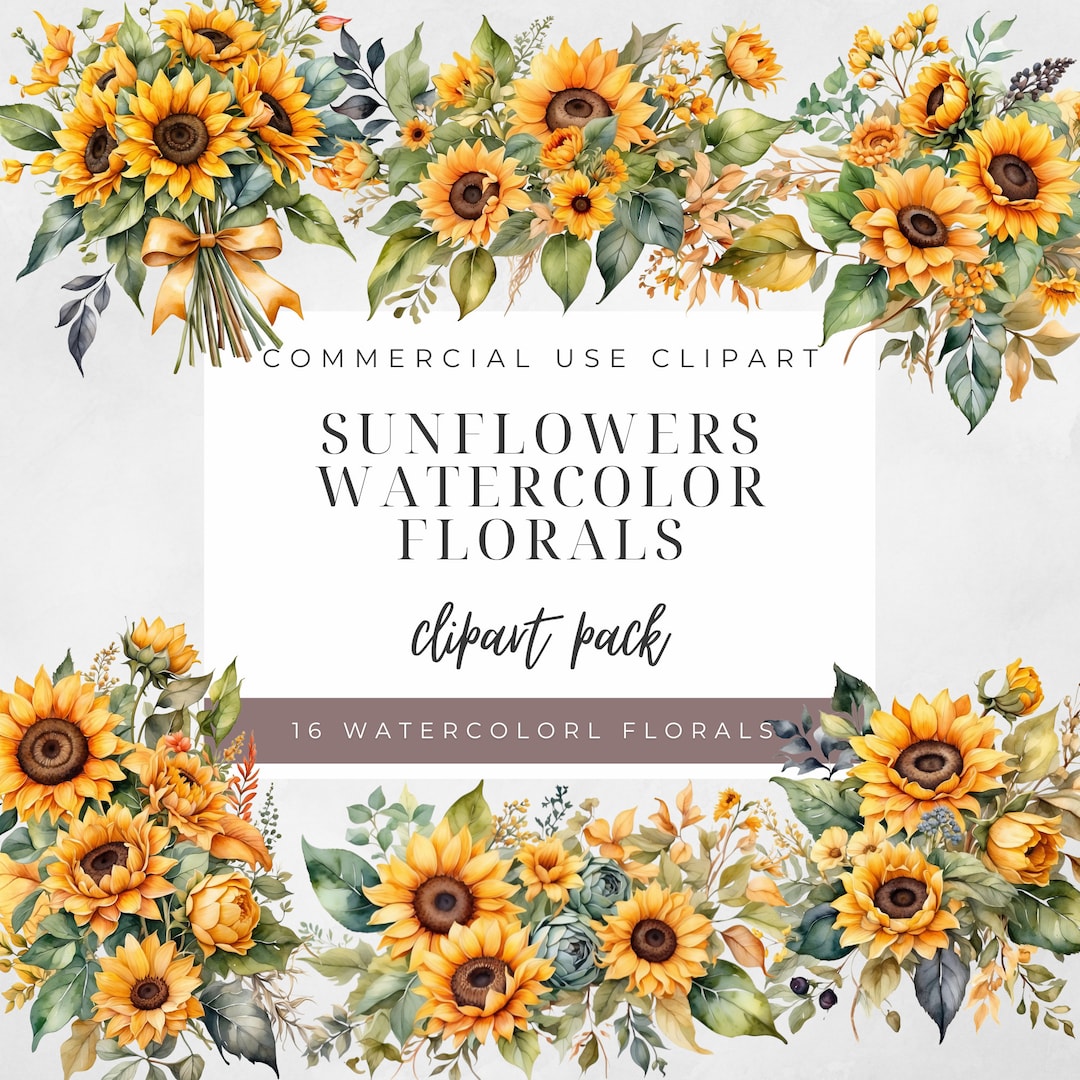 Sunflowers Floral Watercolor Clip Art Bundle Pack, 16 Transparent PNG ...