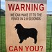 Personalized WARNING DOG Sign, Private Property, Custom Wood Sign ...