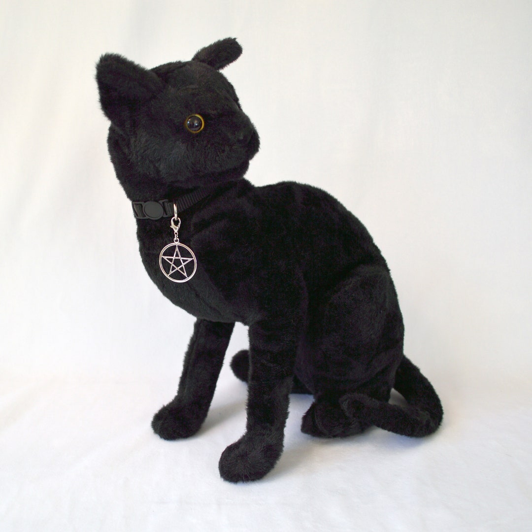 Black Cat Collar With Wiccan Pagan Pentacle Silver Finish on Safety ...
