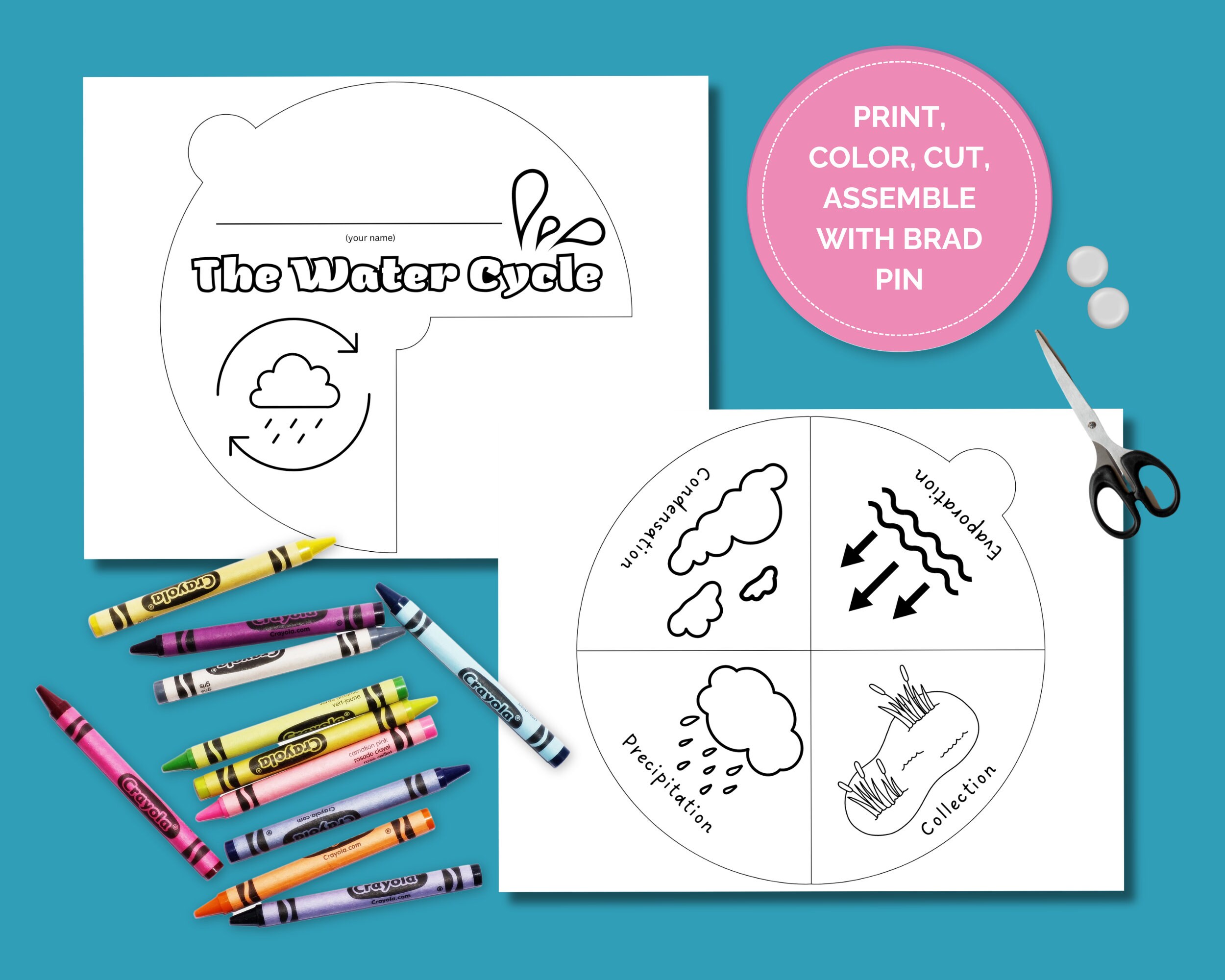 The Water Cycle Spinner Wheel Coloring Activity Digital Download for ...