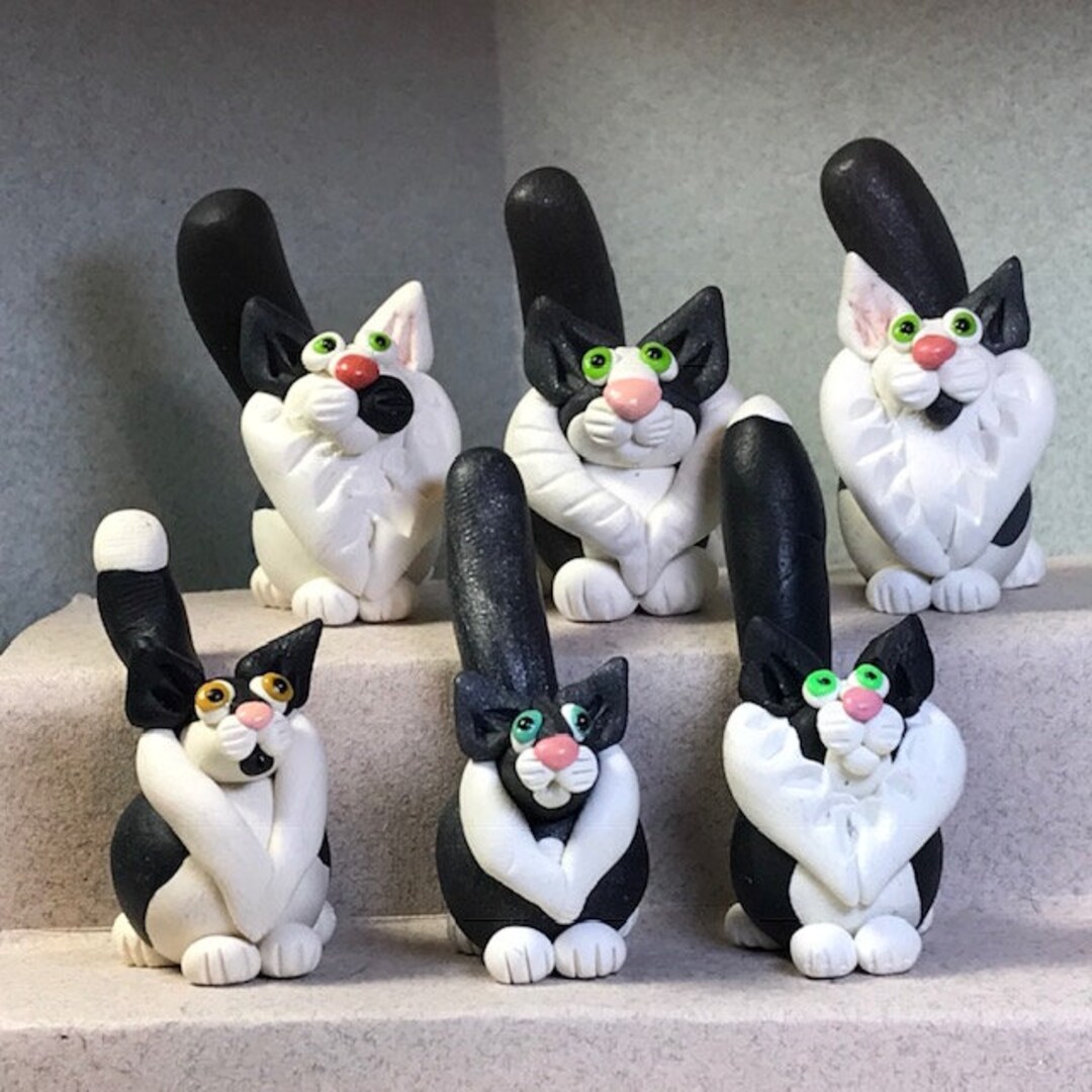 Black and White Ruffed Fluffy Style Cat Miniatures. Maine Coon-ish ...