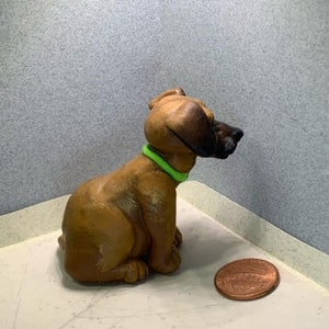 Pit Bull, Pitbull Mix, Brown Dog. Large Miniature, Approximately 2 ...