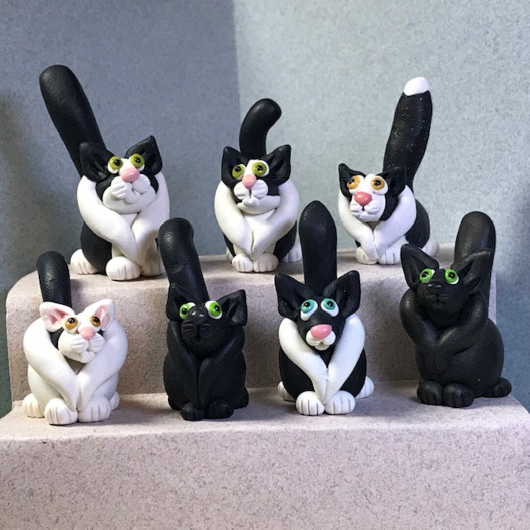 Black and White Ruffed Fluffy Style Cat Miniatures. Maine Coon-ish ...